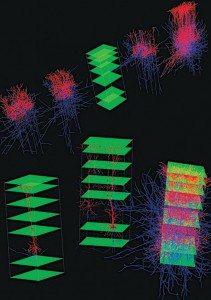 Blue Brain: World’s First Virtual Brain