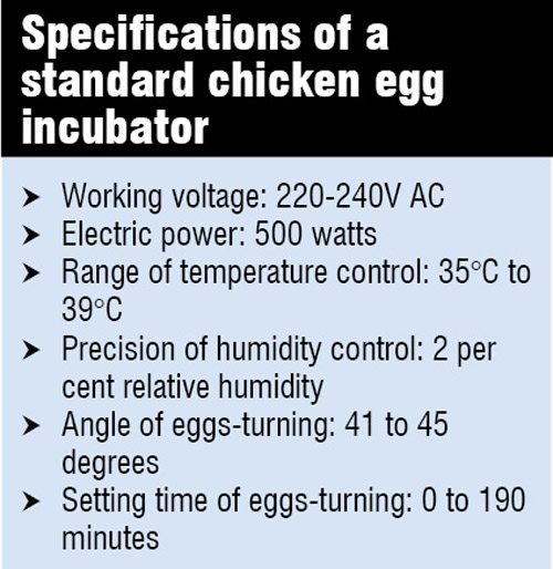 Hatching Eggs Electronically
