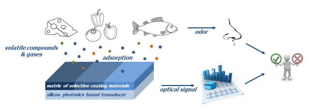 Detect Food Spoilage with Sensors | Concepts & Innovations
