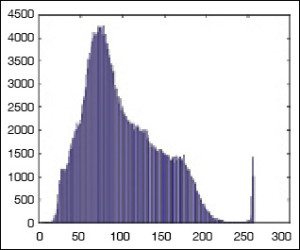 Understanding Digital Camera Histograms Using MATLAB | DIY Project