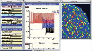 Realistic Neural Modelling Using GENESIS