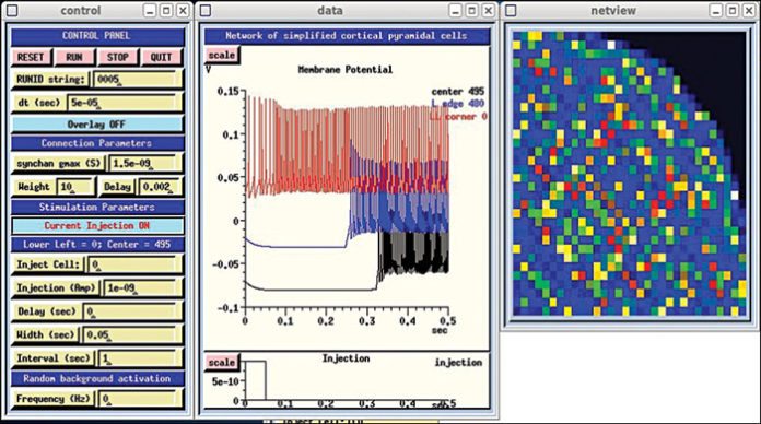 Realistic Neural Modelling Using GENESIS