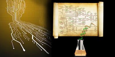 Square Root Generator Circuit | Detailed Circuit Digaram Available