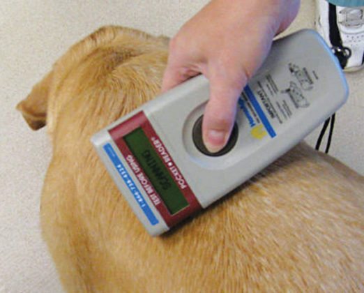 Dog-E-Tronics For Dog Lovers To Simplify Life & Provide Security