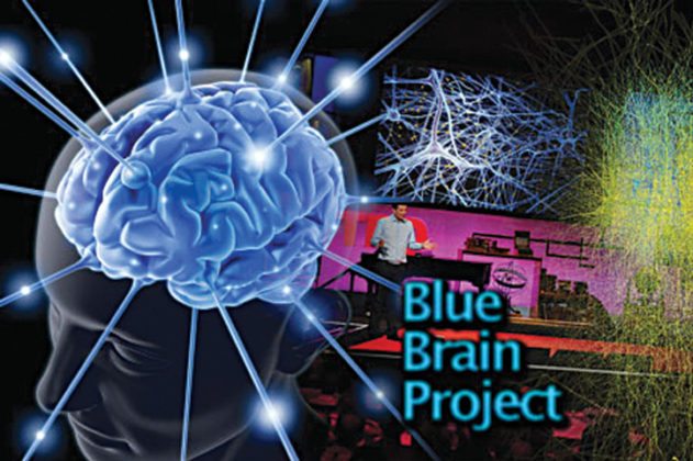 The Blue Brain Project: Unraveling The Brain's Mystery