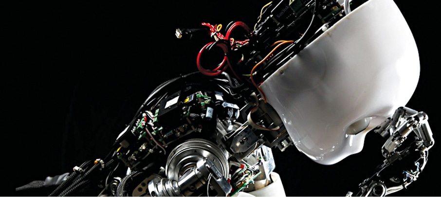 The Blue Brain Project: Unraveling The Brain's Mystery