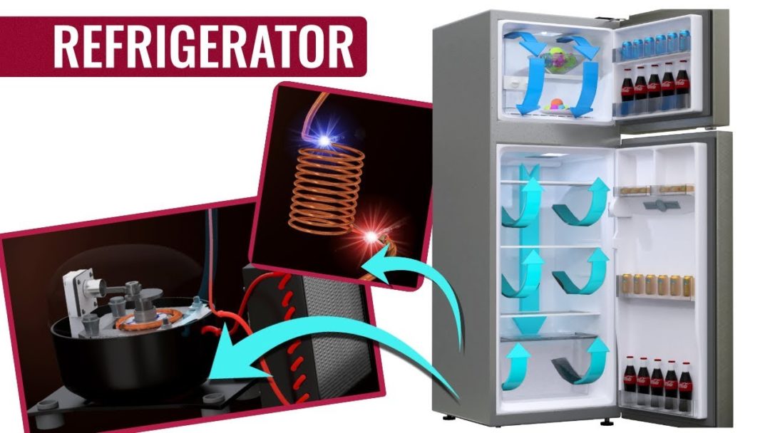 Working of a Refrigerator | Video Tutorial