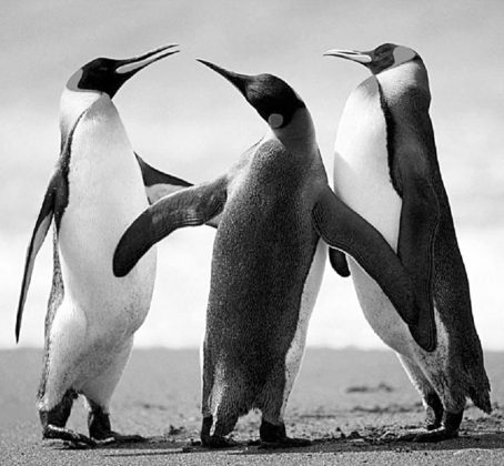 Image processing using MATLAB: Basic operations