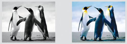 Image processing using MATLAB: Basic operations