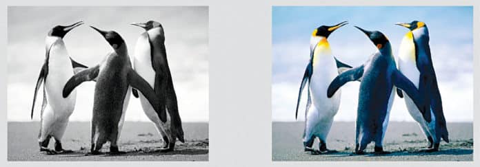 Image processing using MATLAB: Basic operations