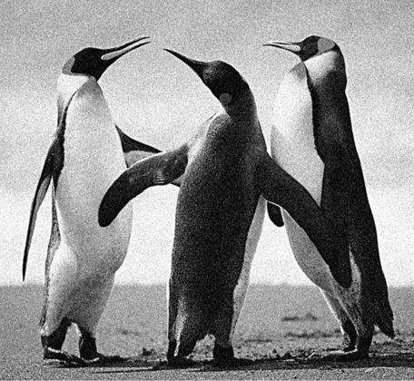 Image Processing Using MATLAB: Spatial Filtering