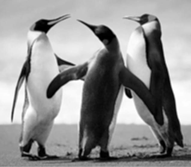 Image Processing Using MATLAB: Spatial Filtering