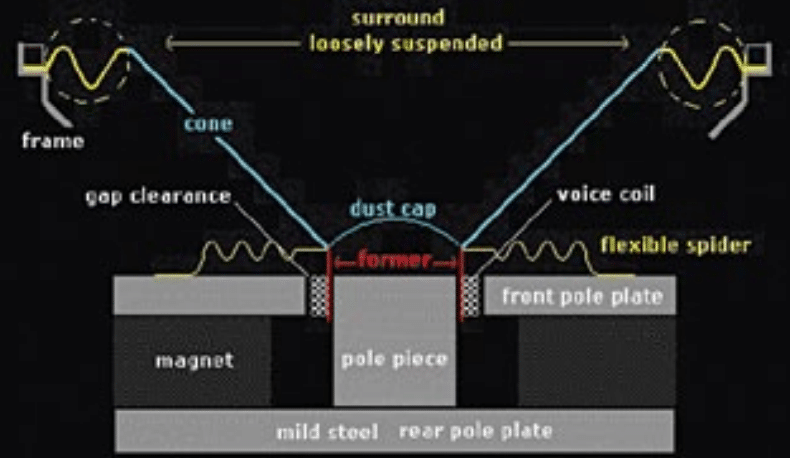 How is a Speaker Constructed? How Does it Produce Sound? | Basics