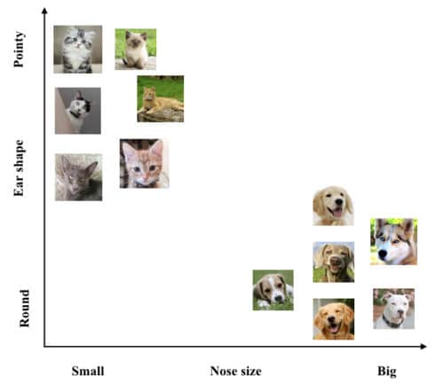 Teaching a Computer to Recognise Cats