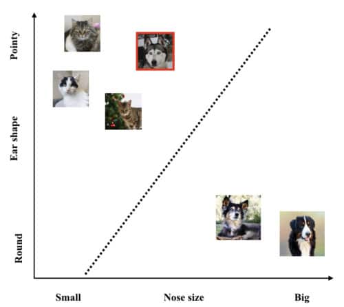 Teaching a Computer to Recognise Cats