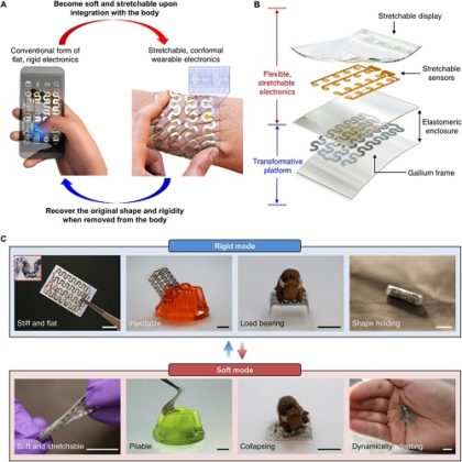 Flexible Electronic Technology Suitable To Be Worn As Wearbale Device