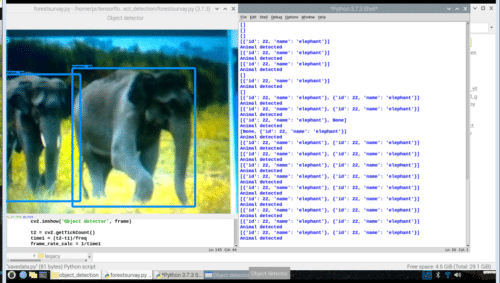 Python-Based Species Classification Wireless Camera For Forest