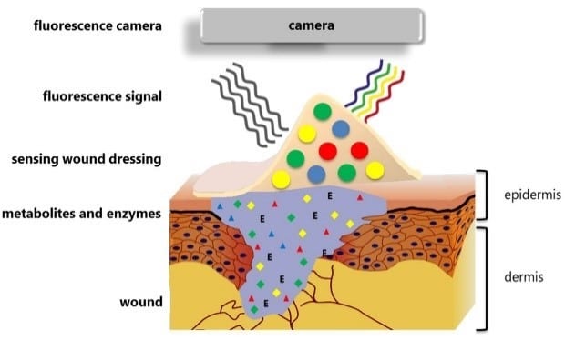 Introduction To The Advaced Sensors | Tech Focus