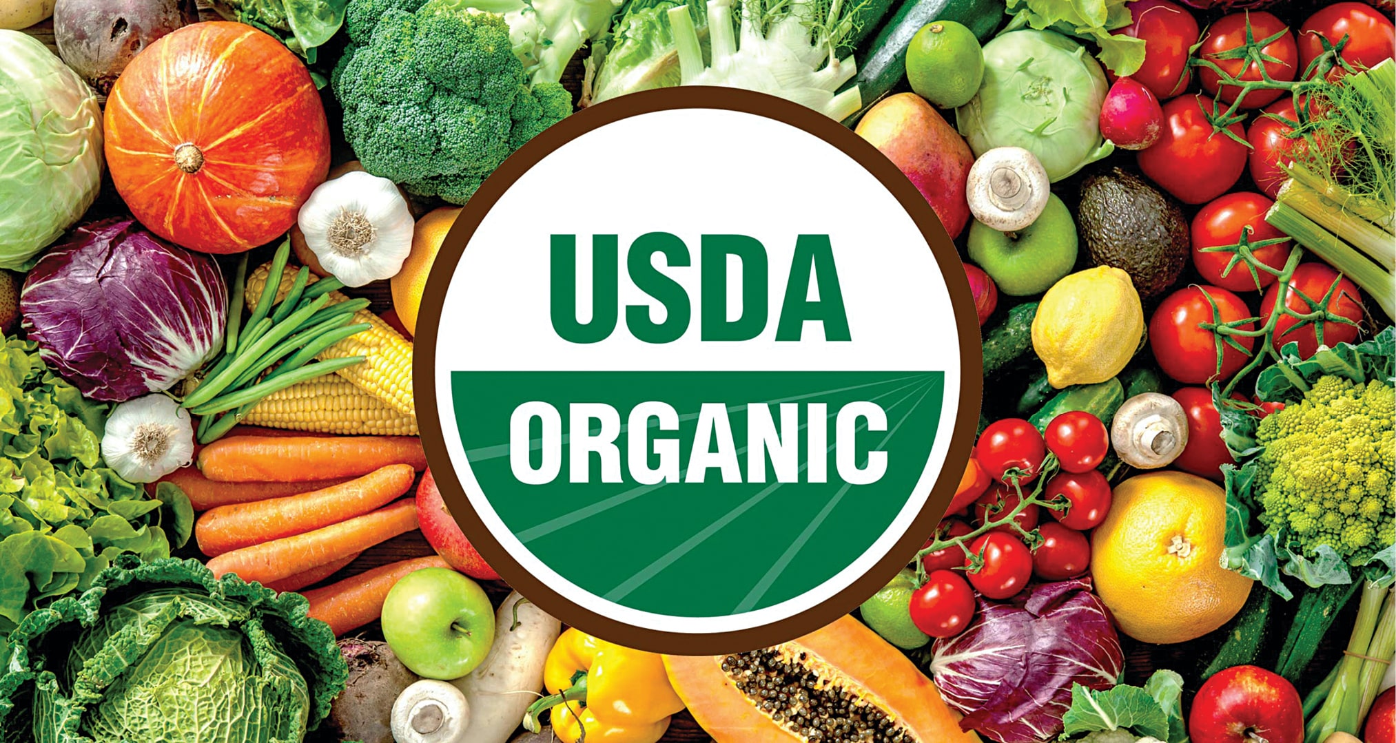 Electronic Authentication Of Organic Foods | Must Read