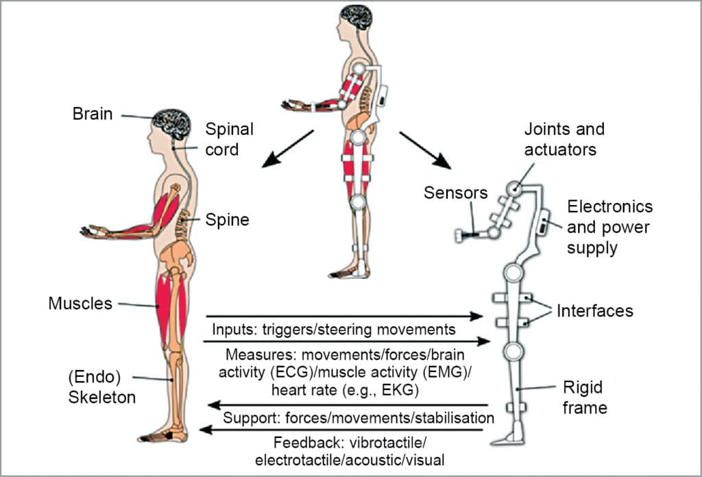 How Exoskeletons Help Reclaim Mobility