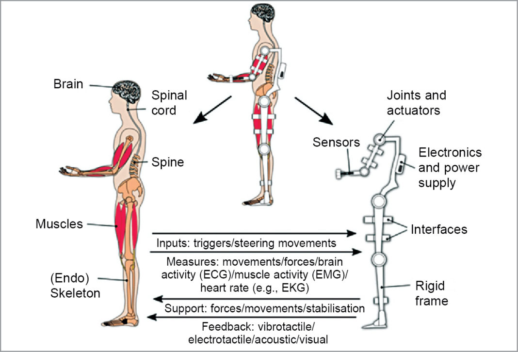 How Exoskeletons Help Reclaim Mobility