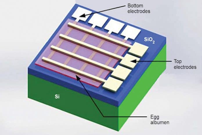 Egg-Based Electronics To Save The Environment - Electronics For You ...