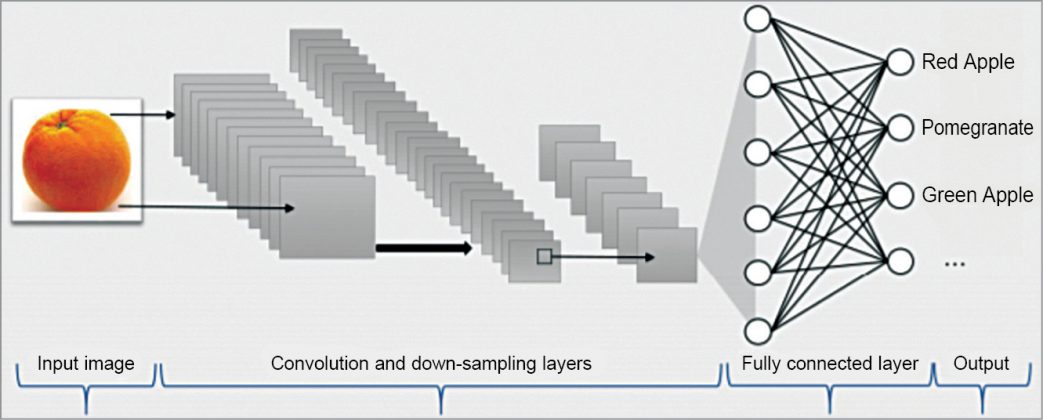 Fruit Classification & Detection Using Deep Convolutional Neural Network