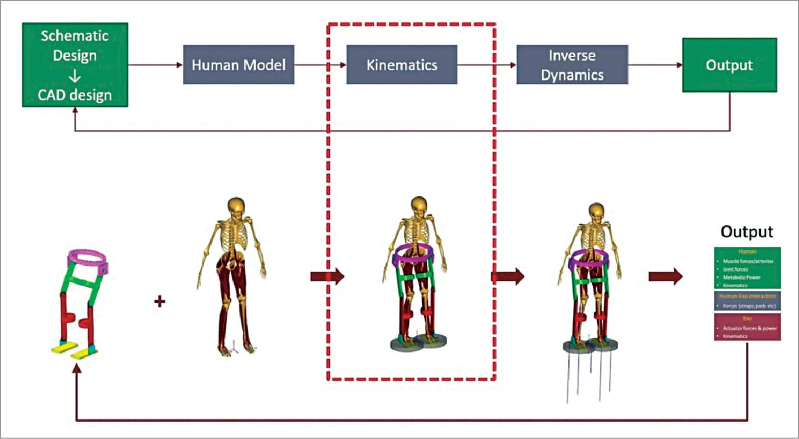 Robotic Exoskeletons: From Fiction To Reality | Must Read
