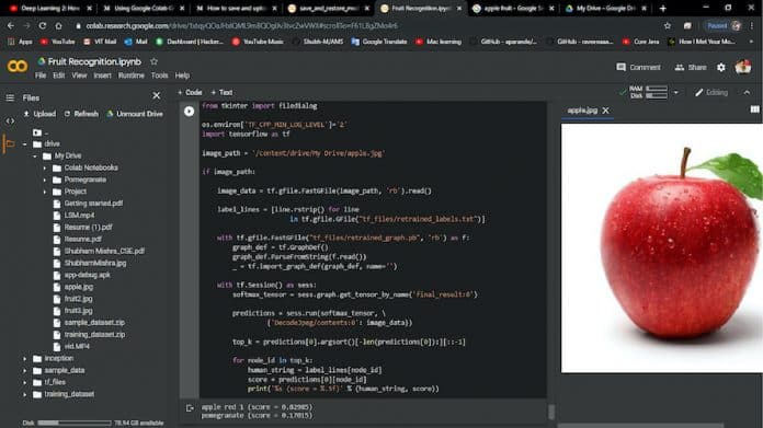 Fruit Classification & Detection Using Deep Convolutional Neural Network