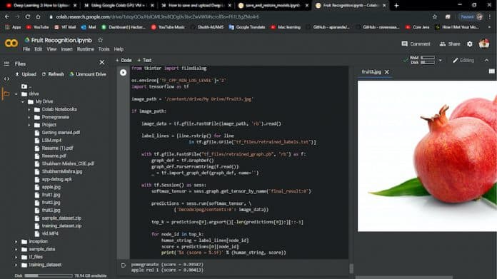 Fruit Classification & Detection Using Deep Convolutional Neural Network
