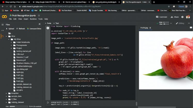 Fruit Classification And Detection Using Deep Convolutional Neural Network