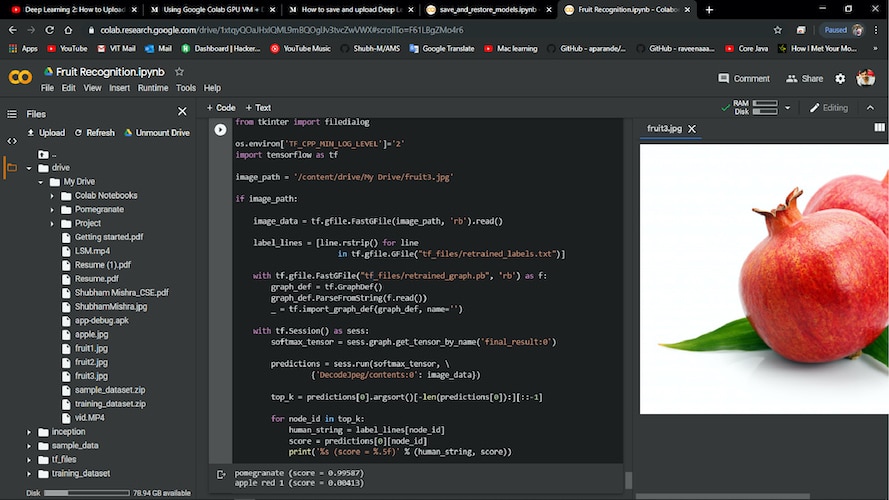 Fruit Classification & Detection Using Deep Convolutional Neural Network