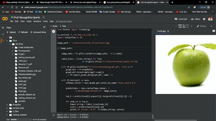 Fruit Classification And Detection Using Deep Convolutional Neural Network