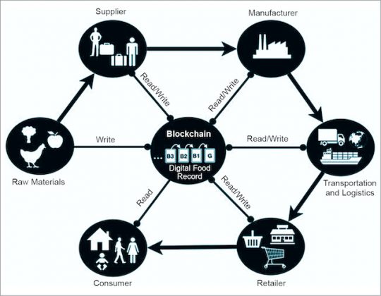 Eliminating Food Fraud Using Blockchain | Must Read