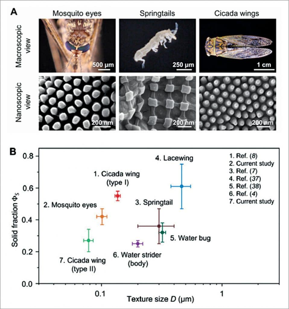 How Nature’s Language Is Being Translated In Biomimetic Technology