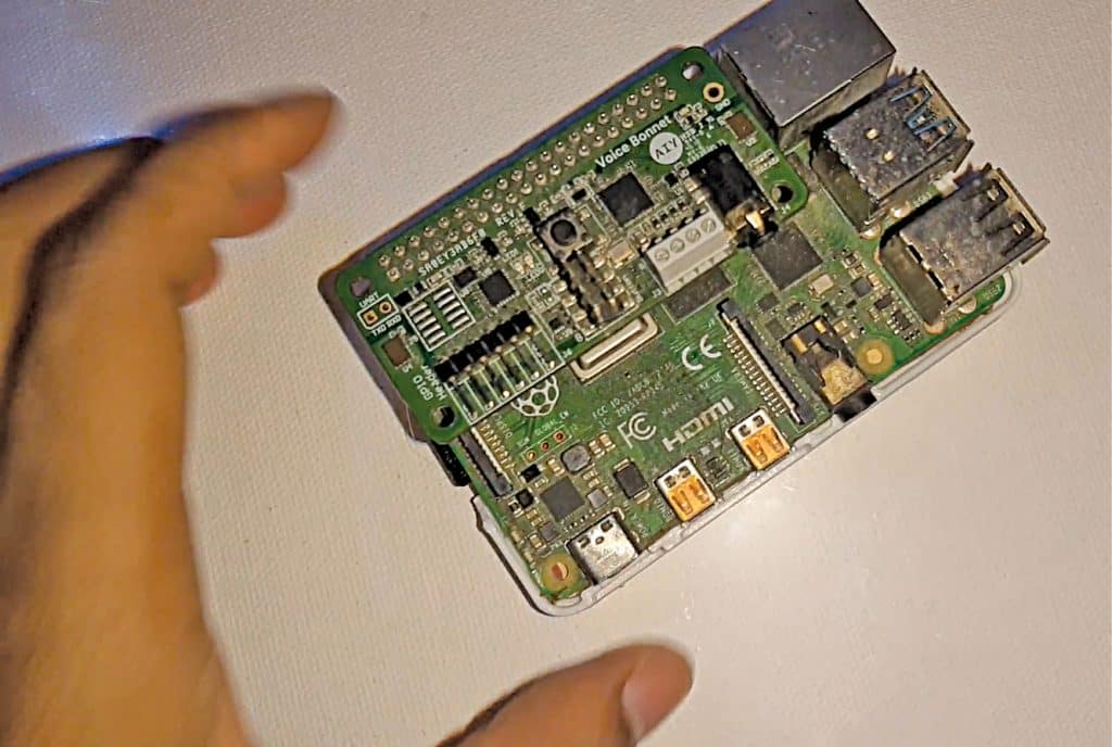 First Bird or Animal Language Translator Enabling You To Talk With Nature