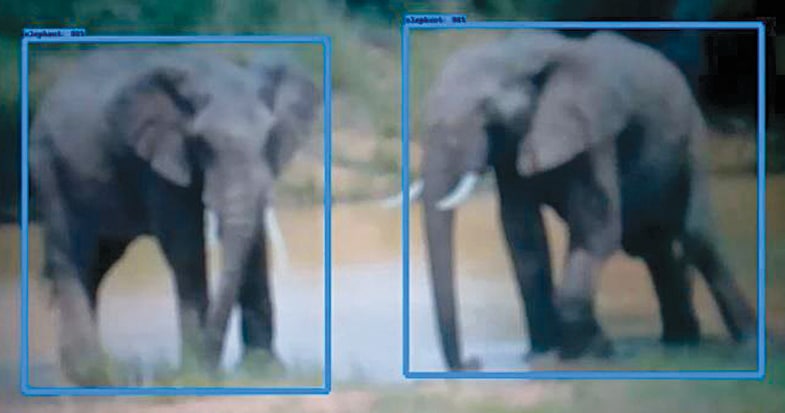 Animal Classification With RPi Camera For Survey & Monitoring