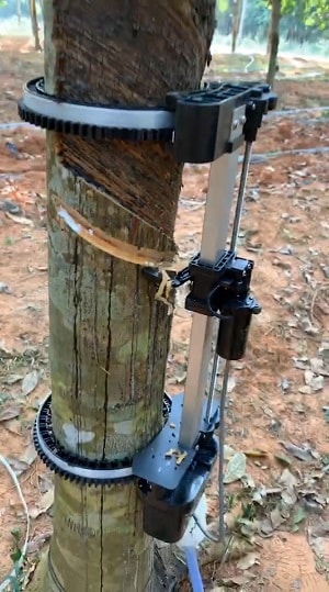 Innovative Rubber Tapping Solution Using LoRa SoC