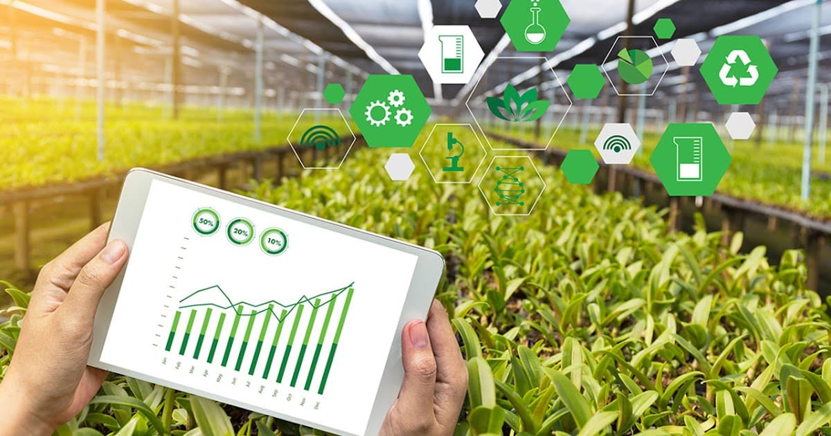 AI Based Weather Forecasting For Farms