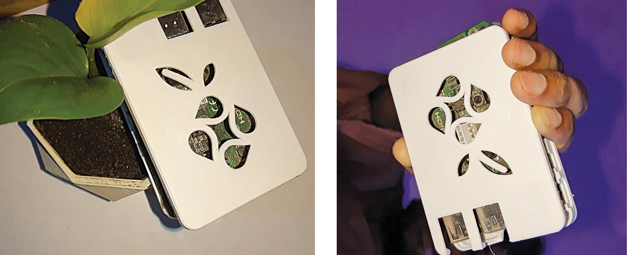 First Bird or Animal Language Translator Enabling You To Talk With Nature