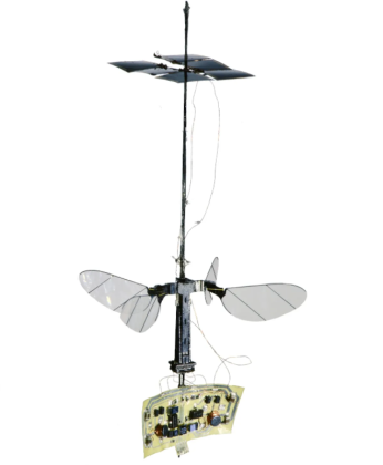 RoboBee- An Enormous Minute Invention