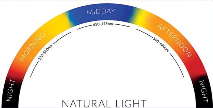 Human Centric Lighting: How Lighting Can Impact Health