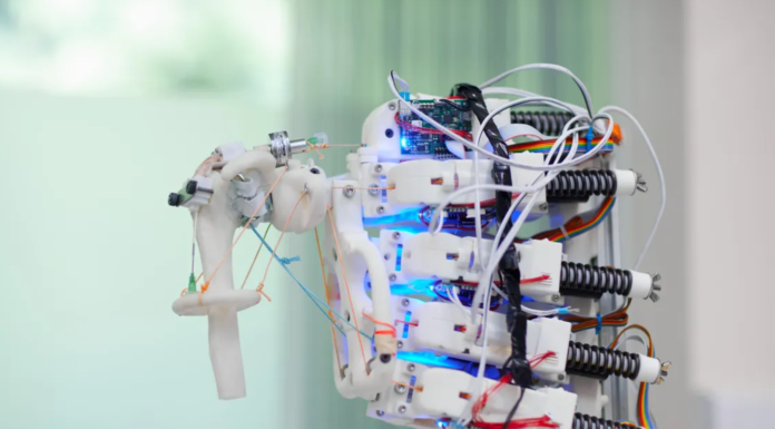 Robotics Projects Collection | Detailed Circuits & Source Codes Available