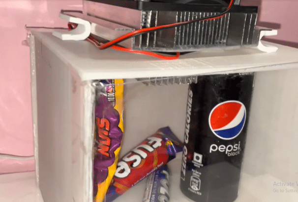 Smallest Portable Mini Fridge | DIY Mini Refrigerator Project