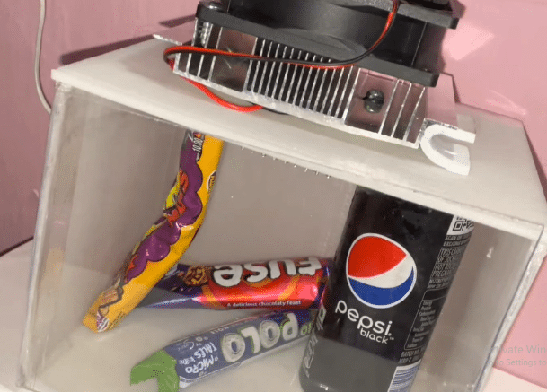 Smallest Portable Mini Fridge | DIY Mini Refrigerator Project