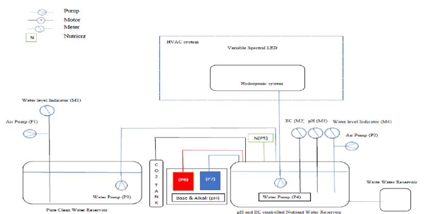 Understanding Hydroponics