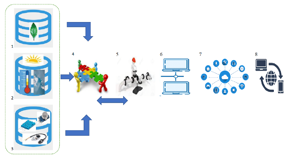 Understanding Hydroponics