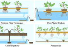 Understanding Bluetooth Internet Gateway For IoT Sol. | Design Guide