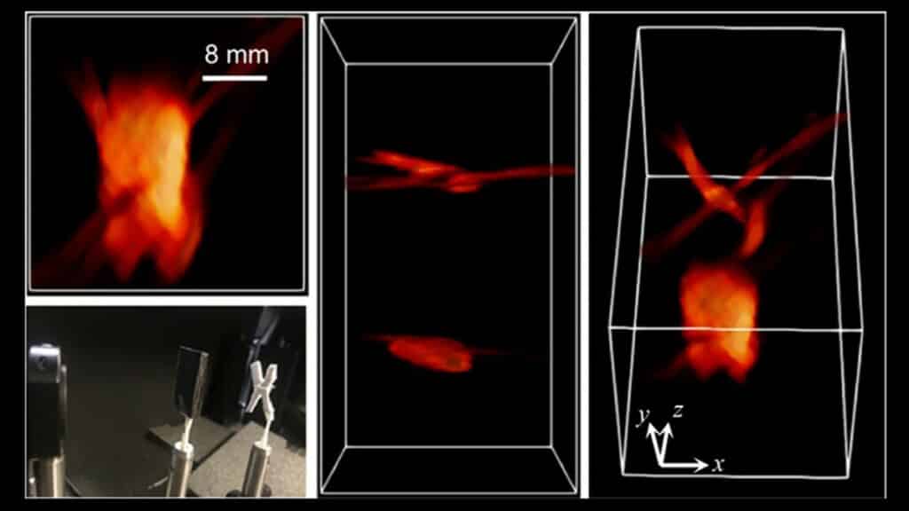 Bugs and Bats Inspired Bionic 3D Camera System