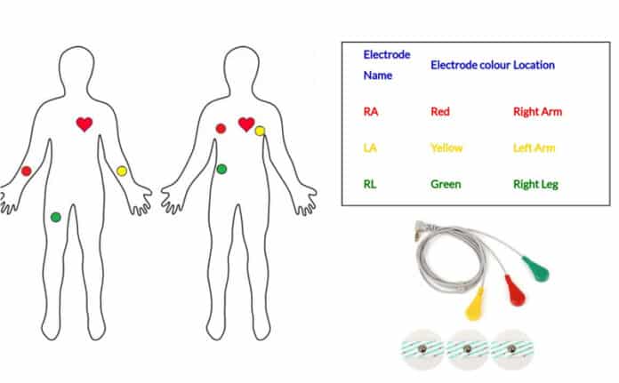Real Time Handheld ECG Display